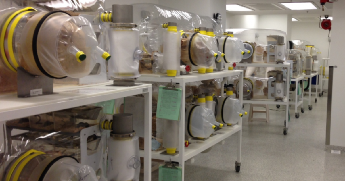 Gnotobiotic Mouse Facility | Microbiome Center | The University of Chicago